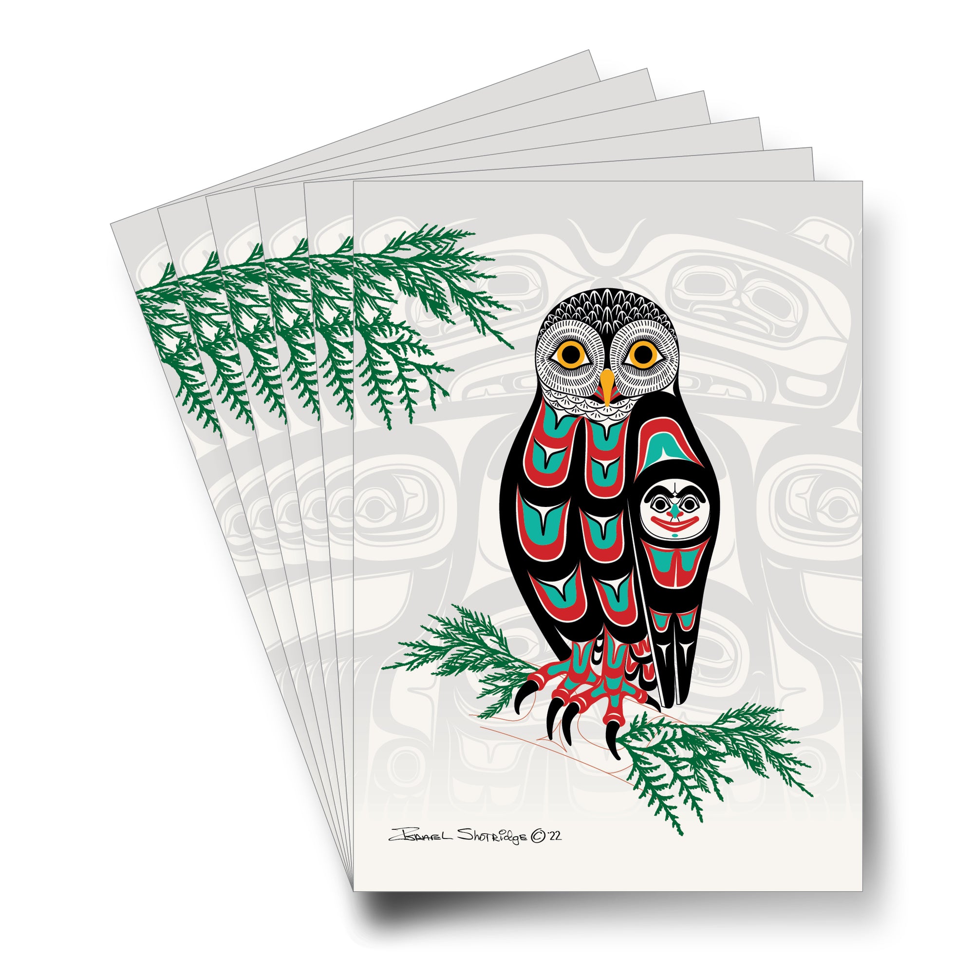 Owl & House Screen Formline Art Cards | Native American Owl Art Cards ...