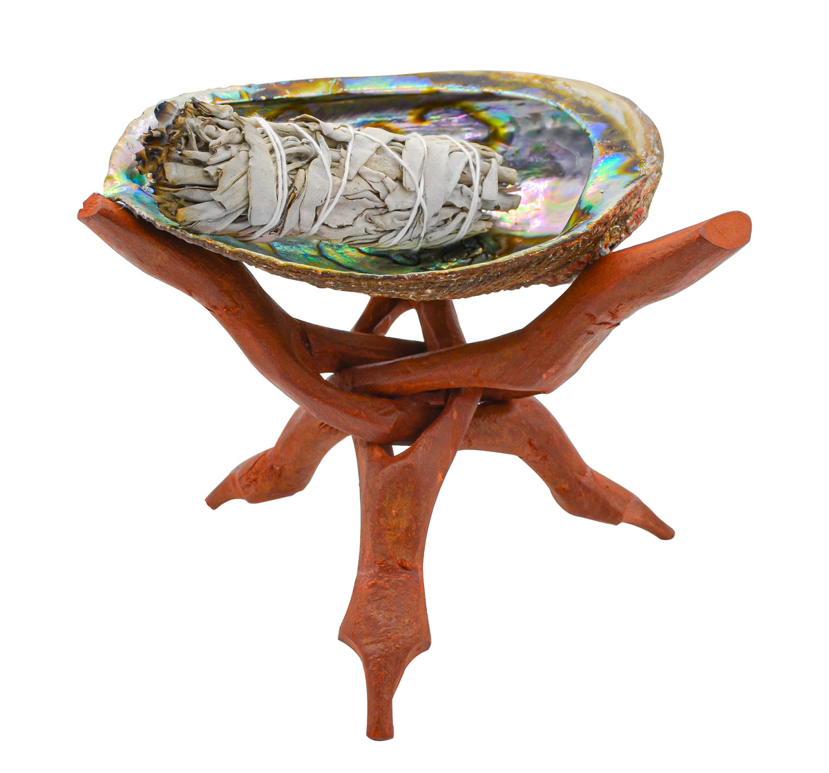 Abalone Shell & Folding Carved Wooden Stand Combo – The Shotridge ...