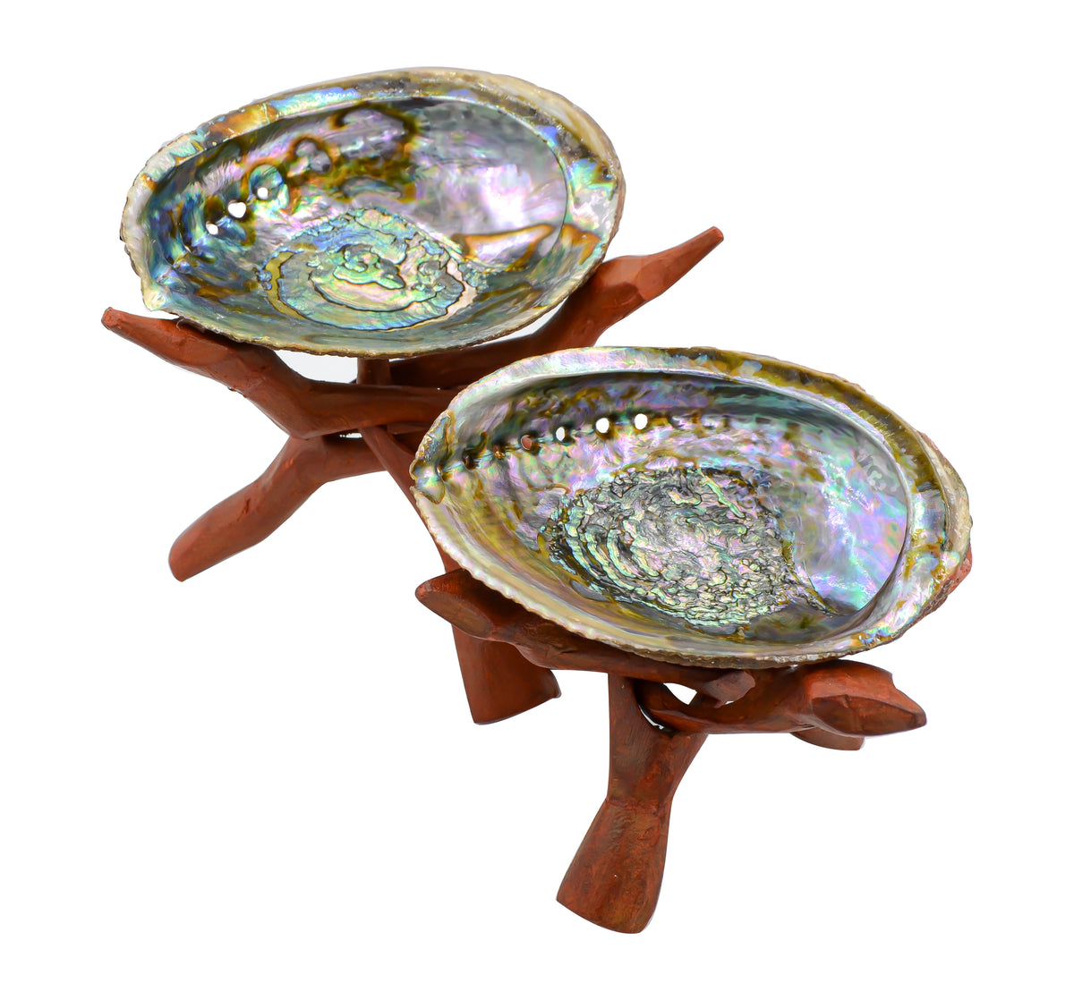 Abalone Shell & Folding Carved Wooden Stand Combo – The Shotridge ...